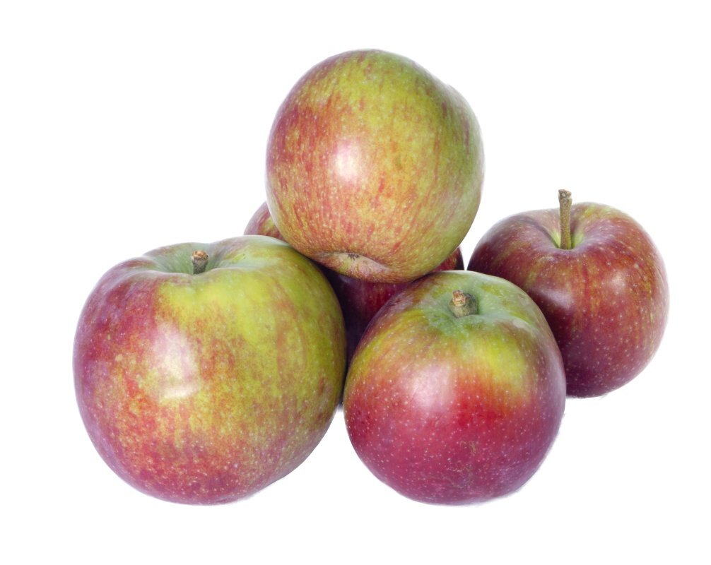 Macintosh Apple (lb.) - Gala Apple Grocery and Produce